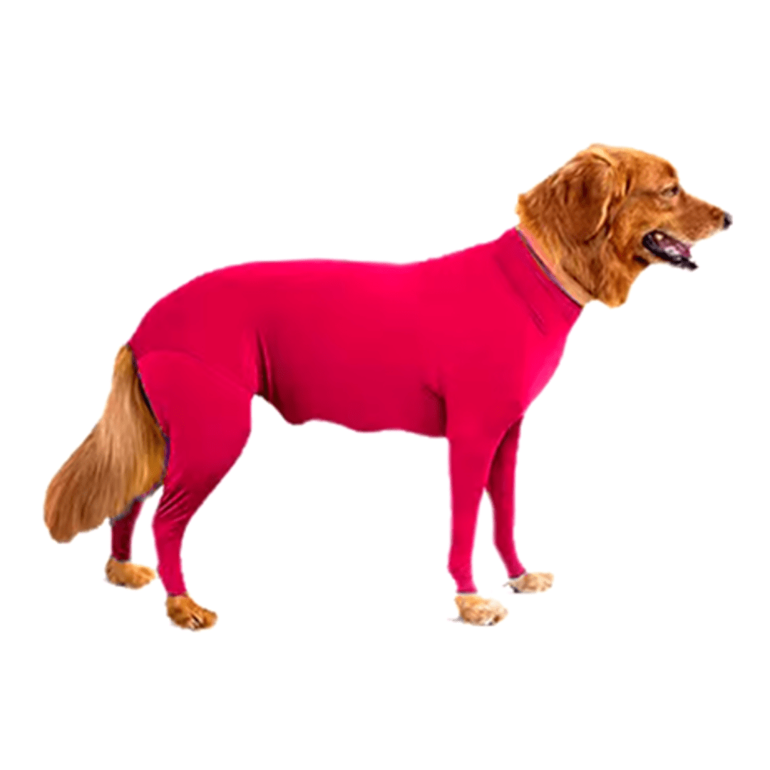 TRAJE QUIRURGICO PARA PERRO - Aqua Mascotas